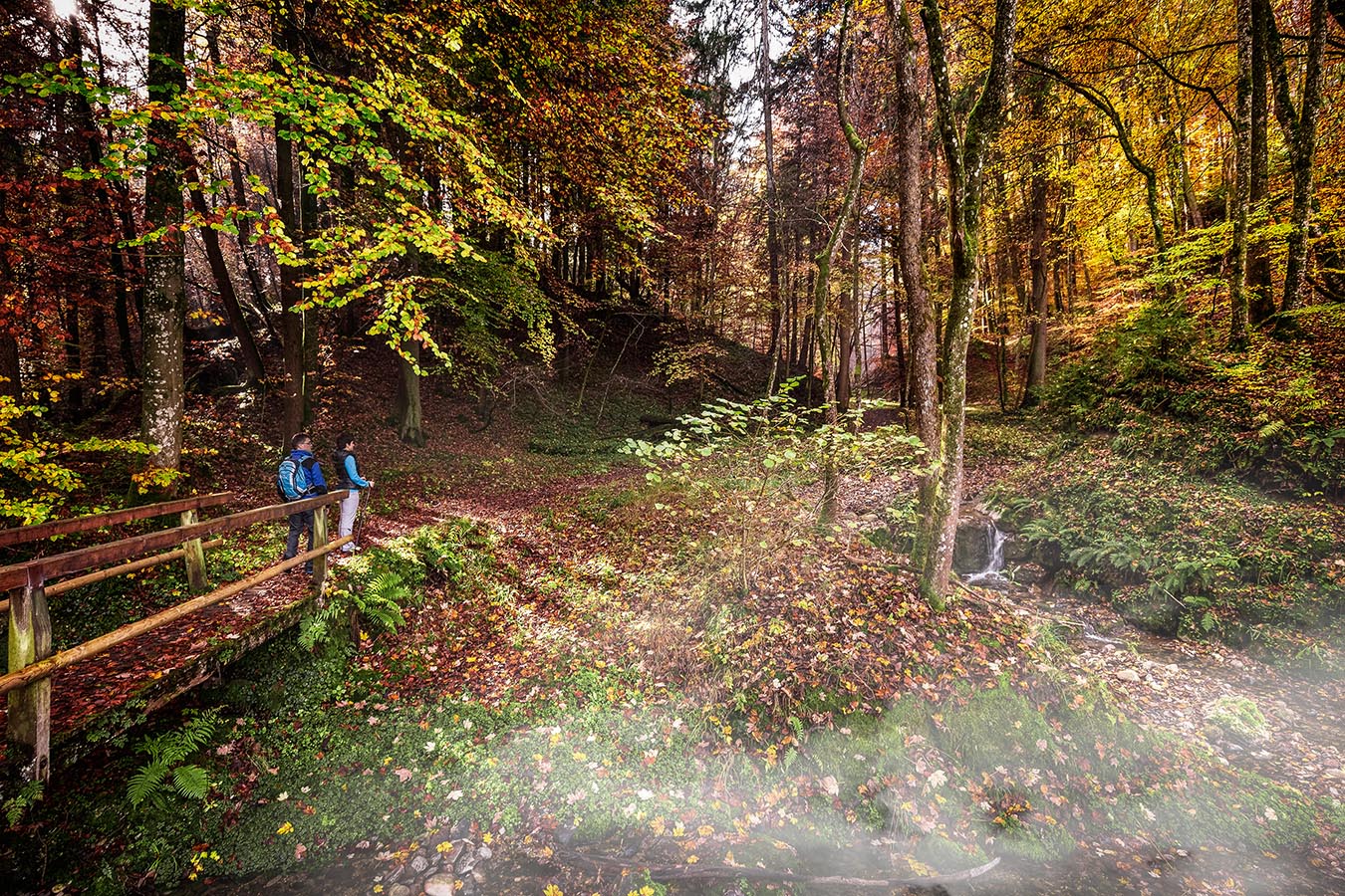 Wandern am Waginger See: Wanderrouten durch Oberbayern
